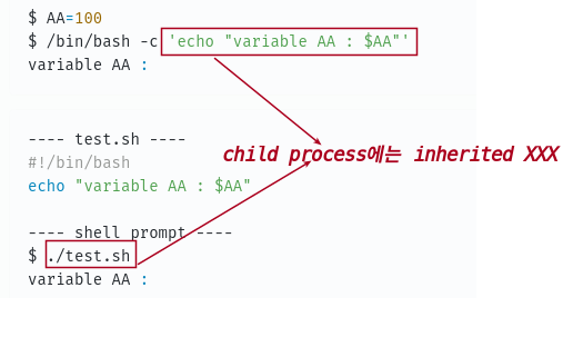 export / set / unset / declare / typeset