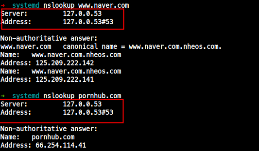 systemd가 관리하는 network : DNS, systemd-resolve