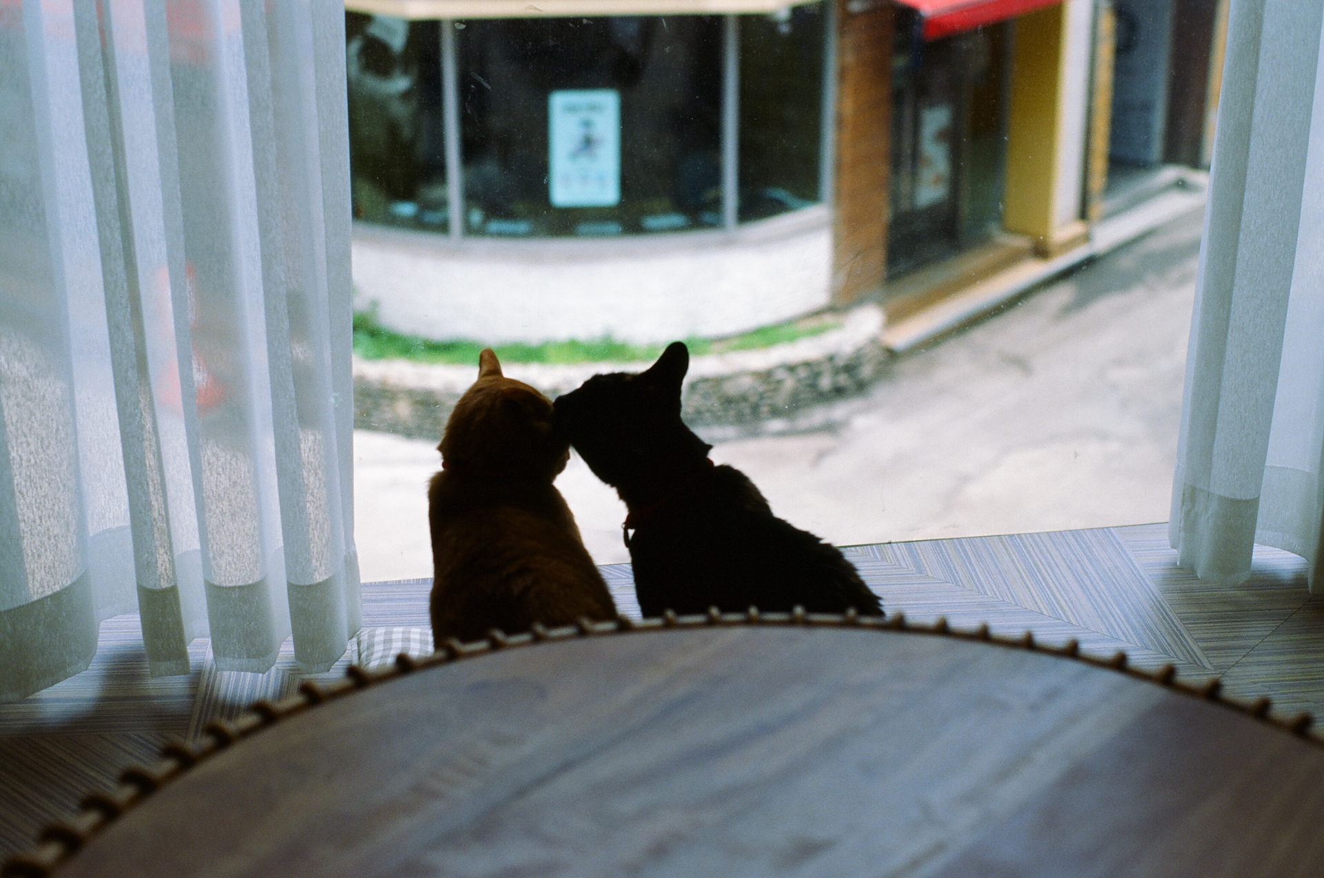 [프로그래머스42747/JS] H-Index