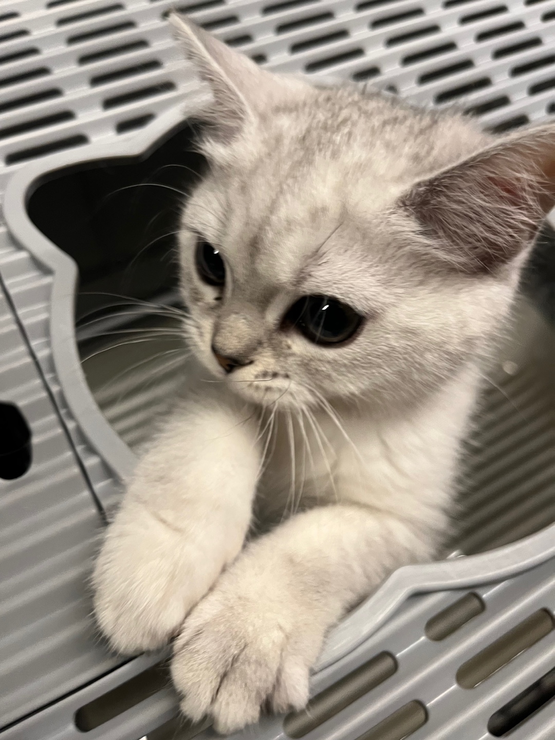 시리즈 | Swift BOJ - mazorika