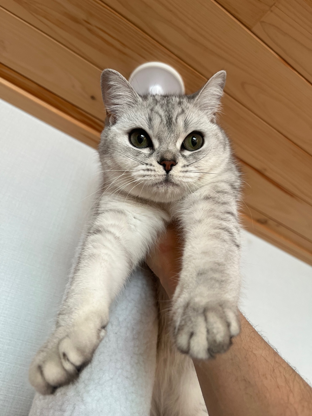 [Swift] DFS와 BFS 설명 + BOJ 그래프와 순회 단계별로 풀어보기 2 - (2178, 1697, 7562, 7576, 7569, 16928, 2206, 1707)