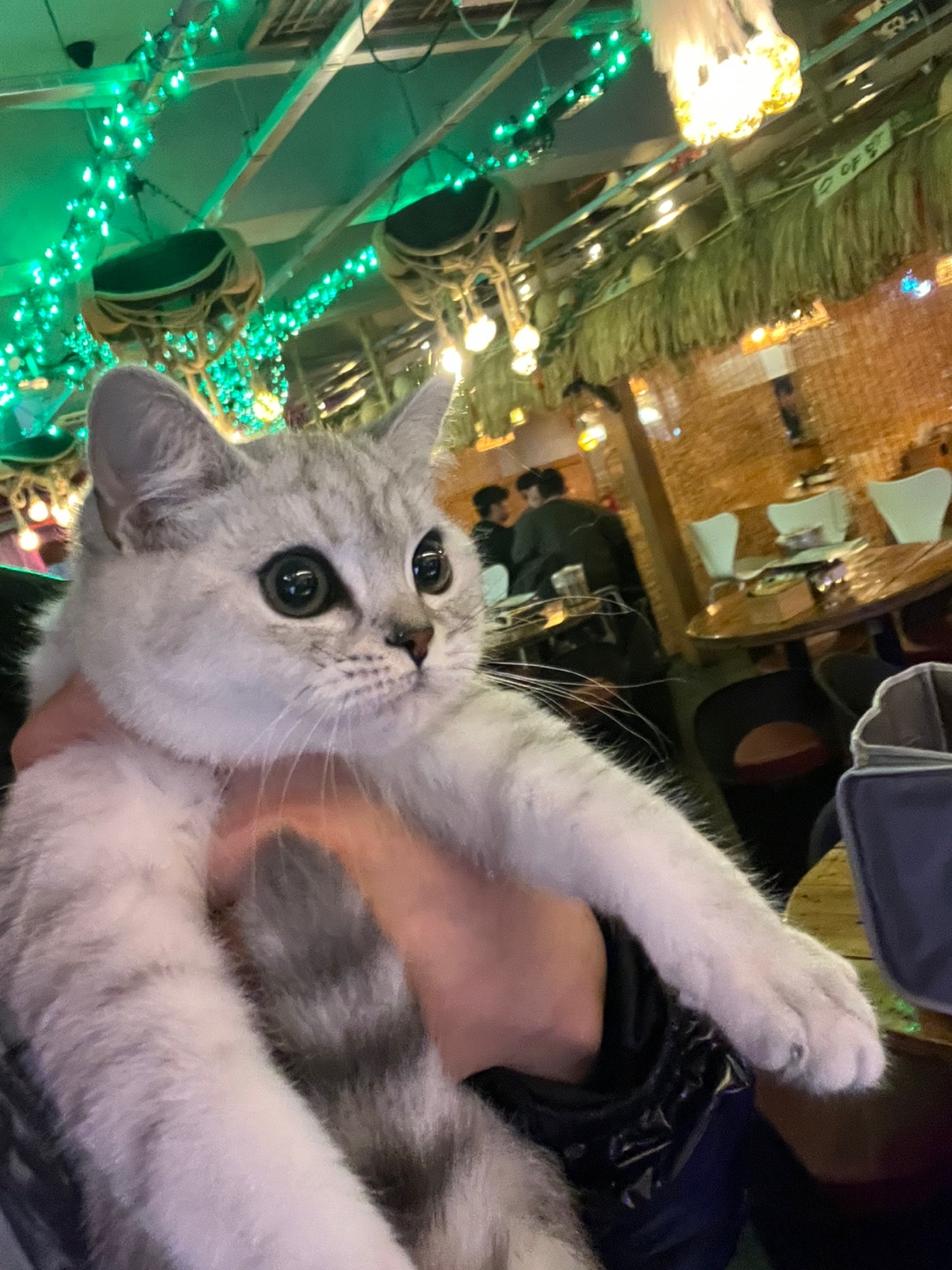 시리즈 | Swift BOJ - mazorika