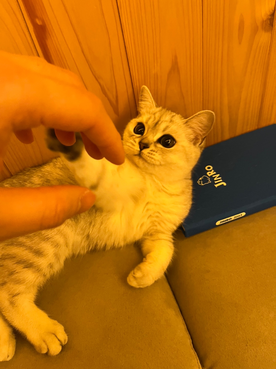 시리즈 | Swift BOJ - mazorika