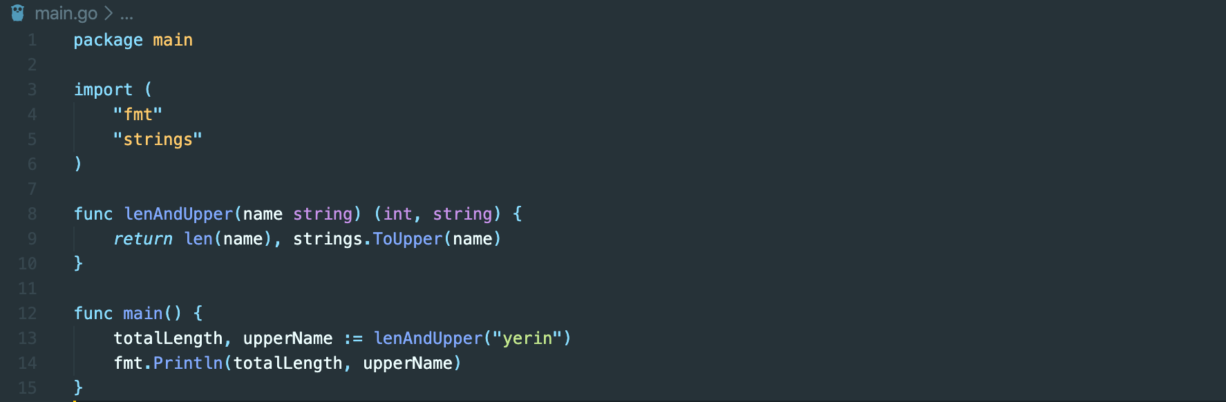 [Go] multiple return values