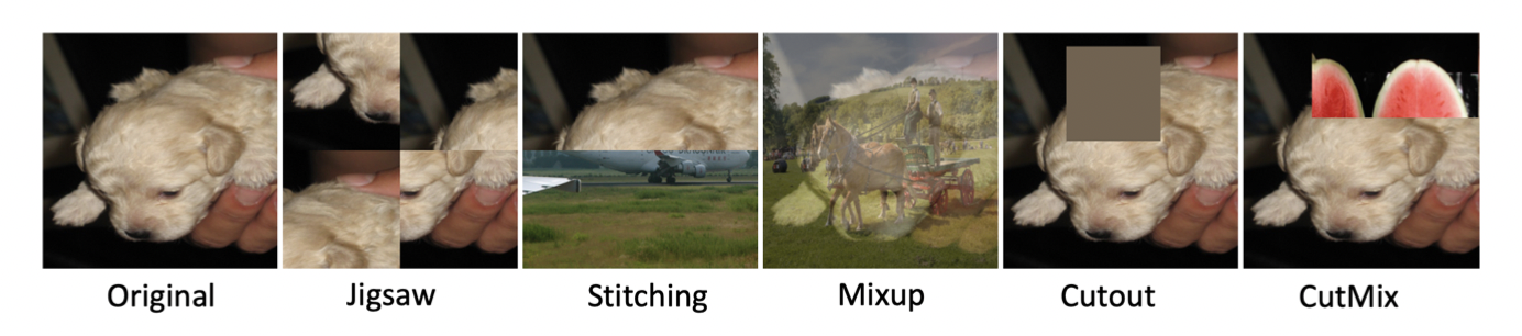 Negative Data Augmentation Review