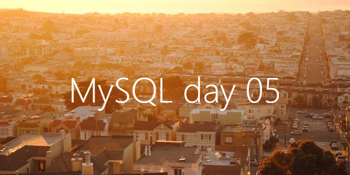 MySQL 05