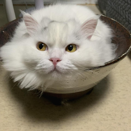 스프링 S3 버킷 업로드 이슈: Maximum upload size exceeded; nested exception is java.lang ...