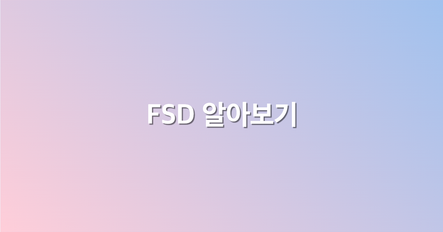 FSD 알아보기