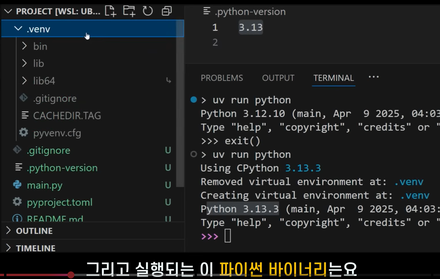 UV(Python package management tool)