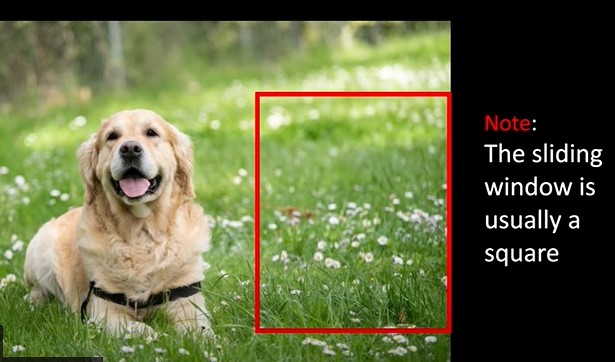 Introduction to Object Detection in Deep Learning