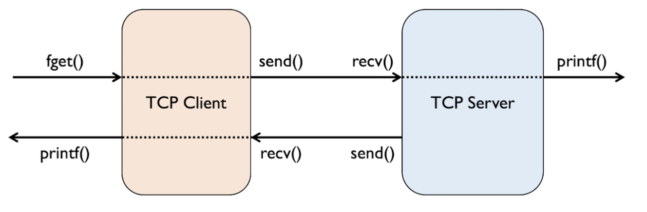 [NP] 2. TCP