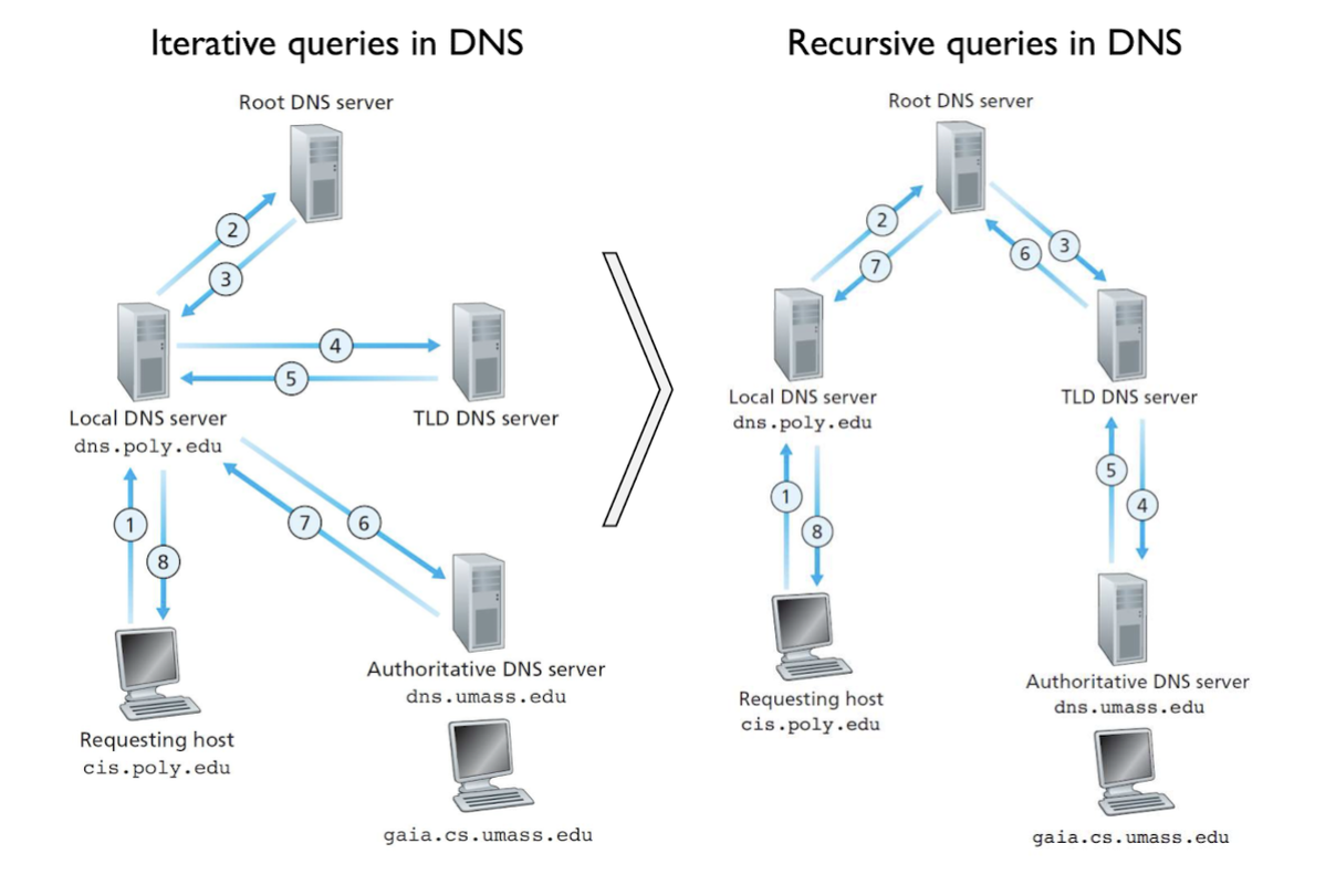 [NP] 7. DNS