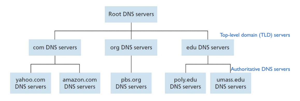 [NP] 7. DNS