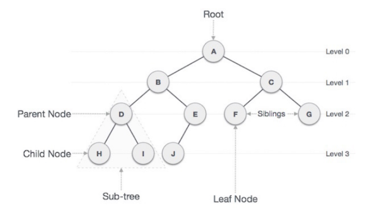 Binary Tree