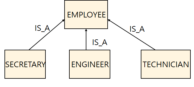 3. Conceptual Design: Enhanced ER(EER) Model
