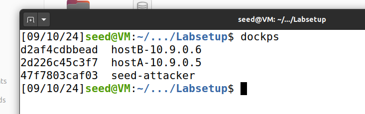 [SEED LABs] Packet Sniffing and Spoofing Lab