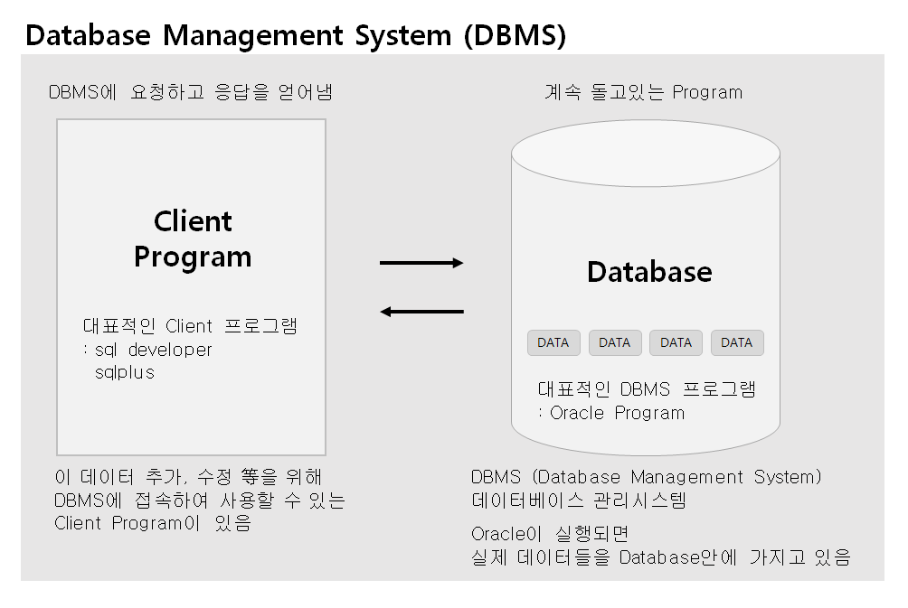 Oracle Client Program And Db Server