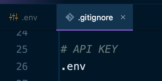 API 키 환경변수로 숨기기 (.env)