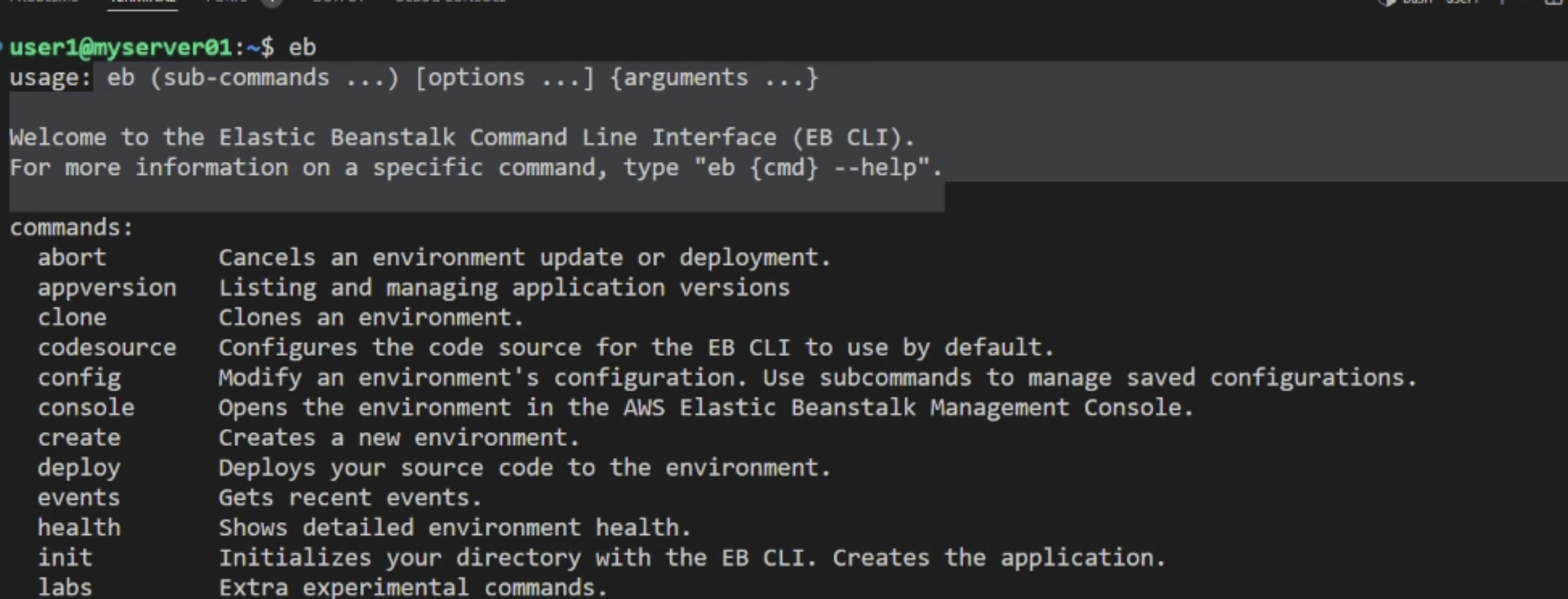 AWS / 리눅스 13 - EB CLI,