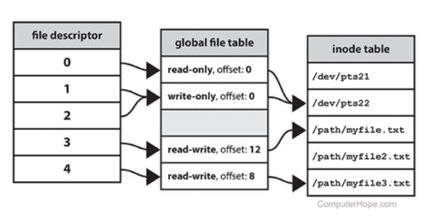 File Descriptor가 뭔데?