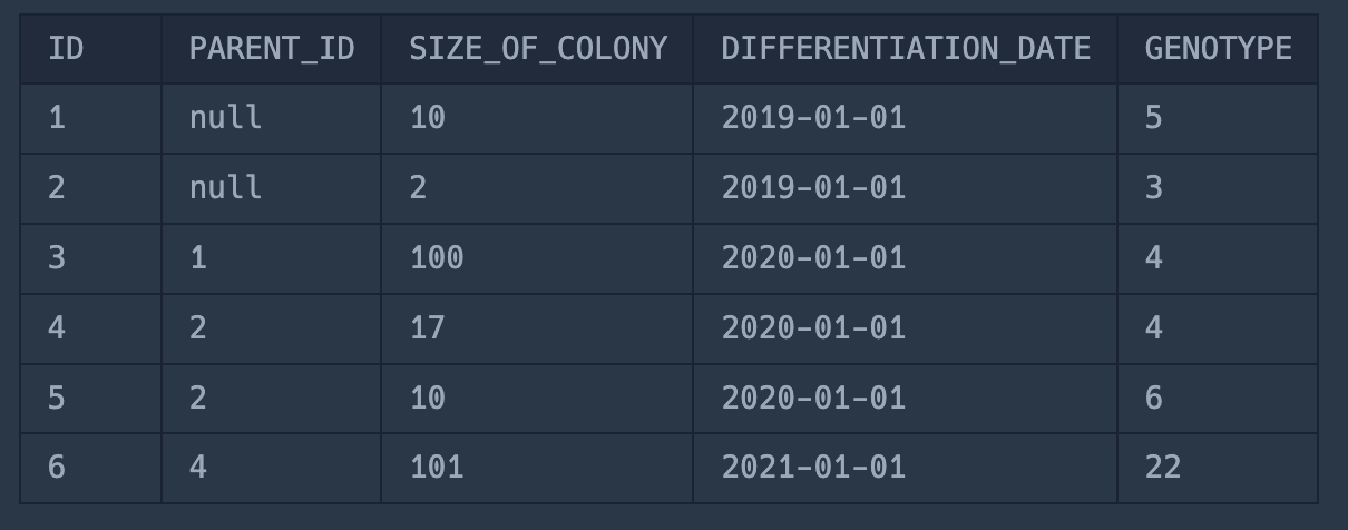 03.08 TIL : SQL 코드카타 프로그래머스 마무리(4)