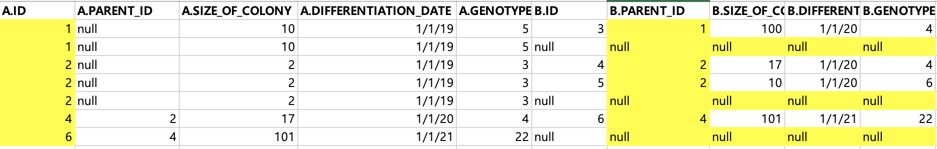 03.08 TIL : SQL 코드카타 프로그래머스 마무리(4)