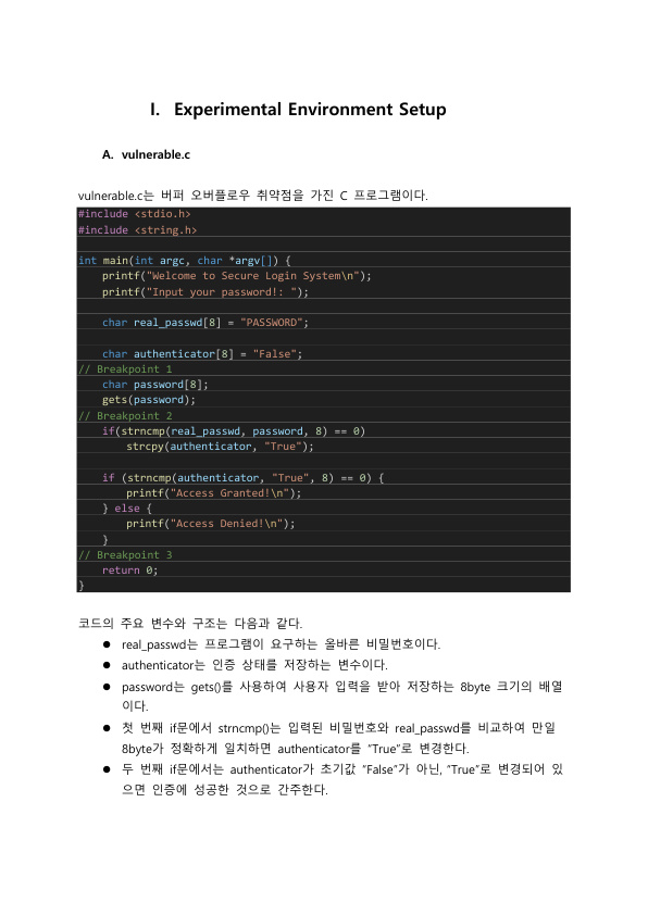 [정보시스템보안] Debugging Stack Overflow Vulnerabilities