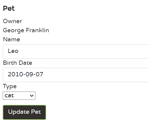 #12 Spring PetClinic Sample Application