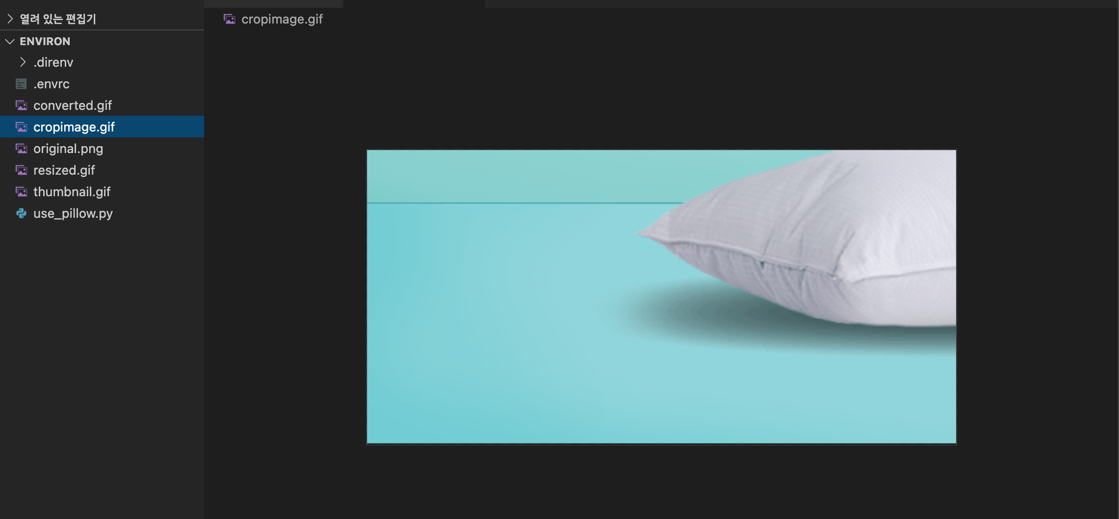 Pillow (Python 라이브러리)로 이미지 처리하기