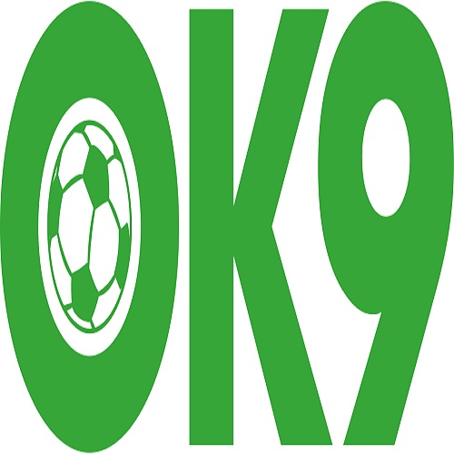 ok9studio (Ok9 Studio) / 시리즈 - velog