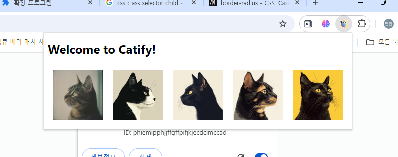 catify 크롬확장 프로그램