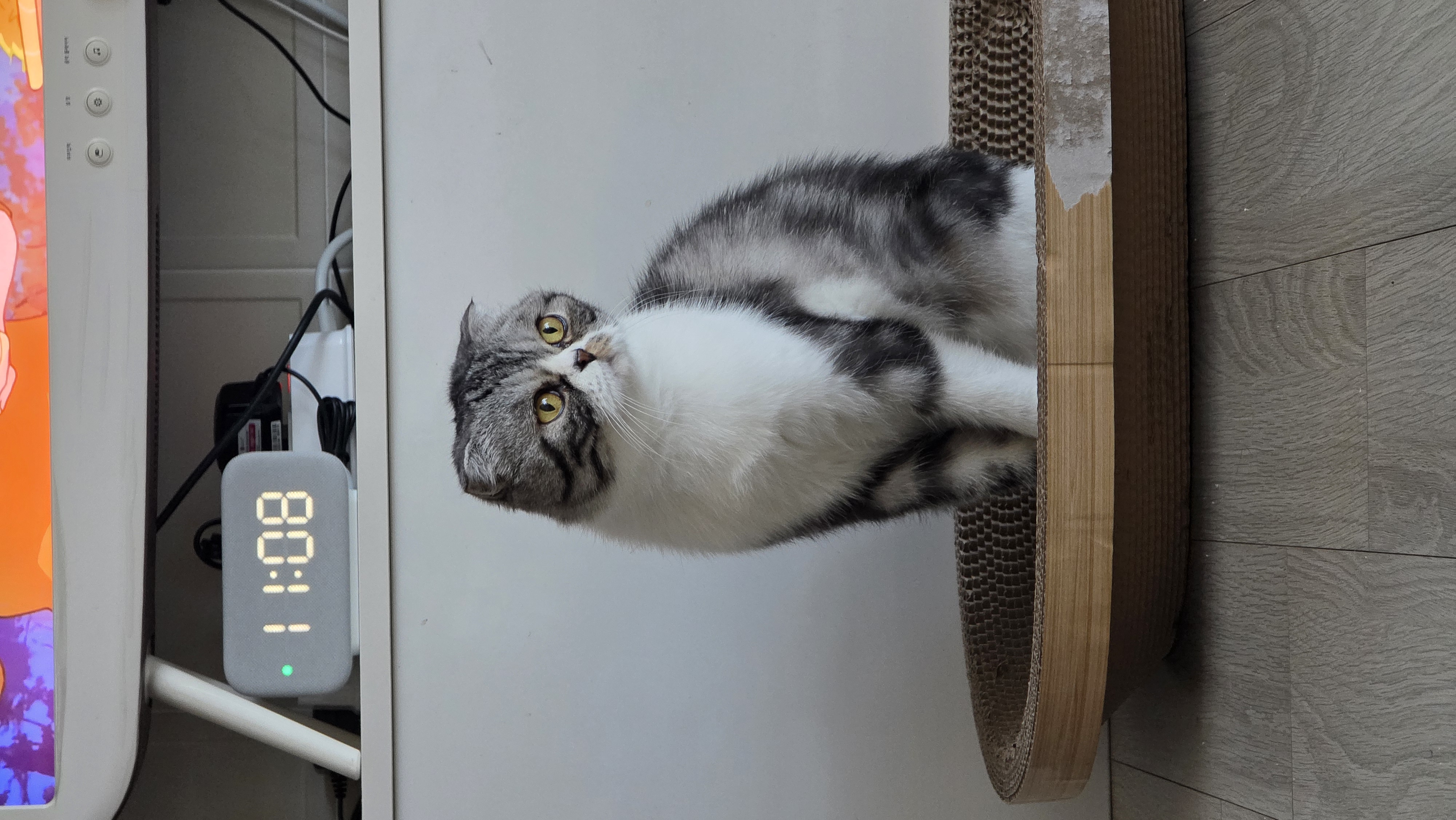 [Flowchart] 실습 8. 두 숫자 입력 후 Max값 출력