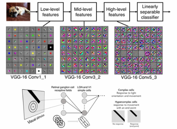 [CS231n]Convolutional Neural Network