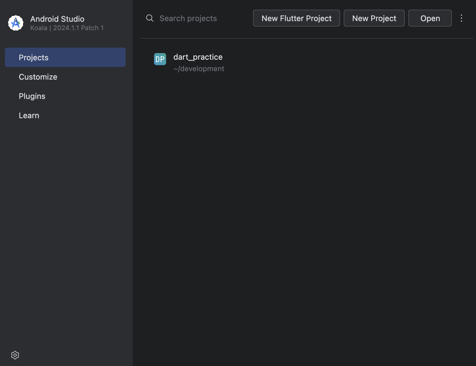 Android Studio Dart 파일 저장 방법