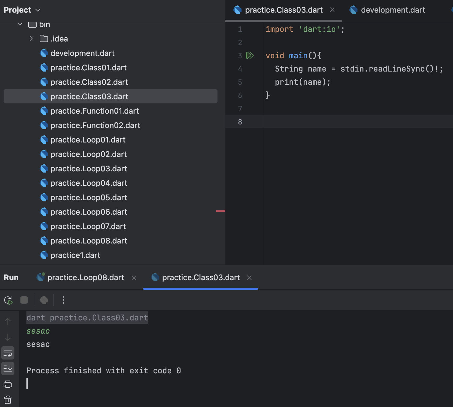 Dart 익숙치 않은 기초