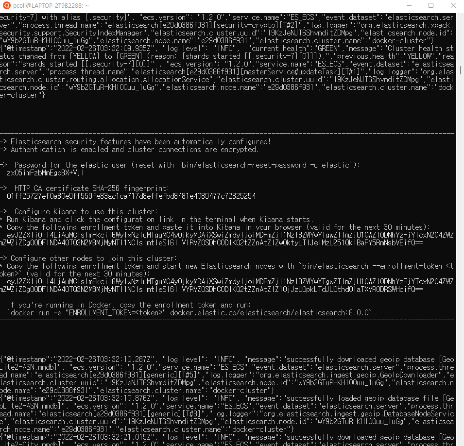  Elastic Elasticsearch Docker