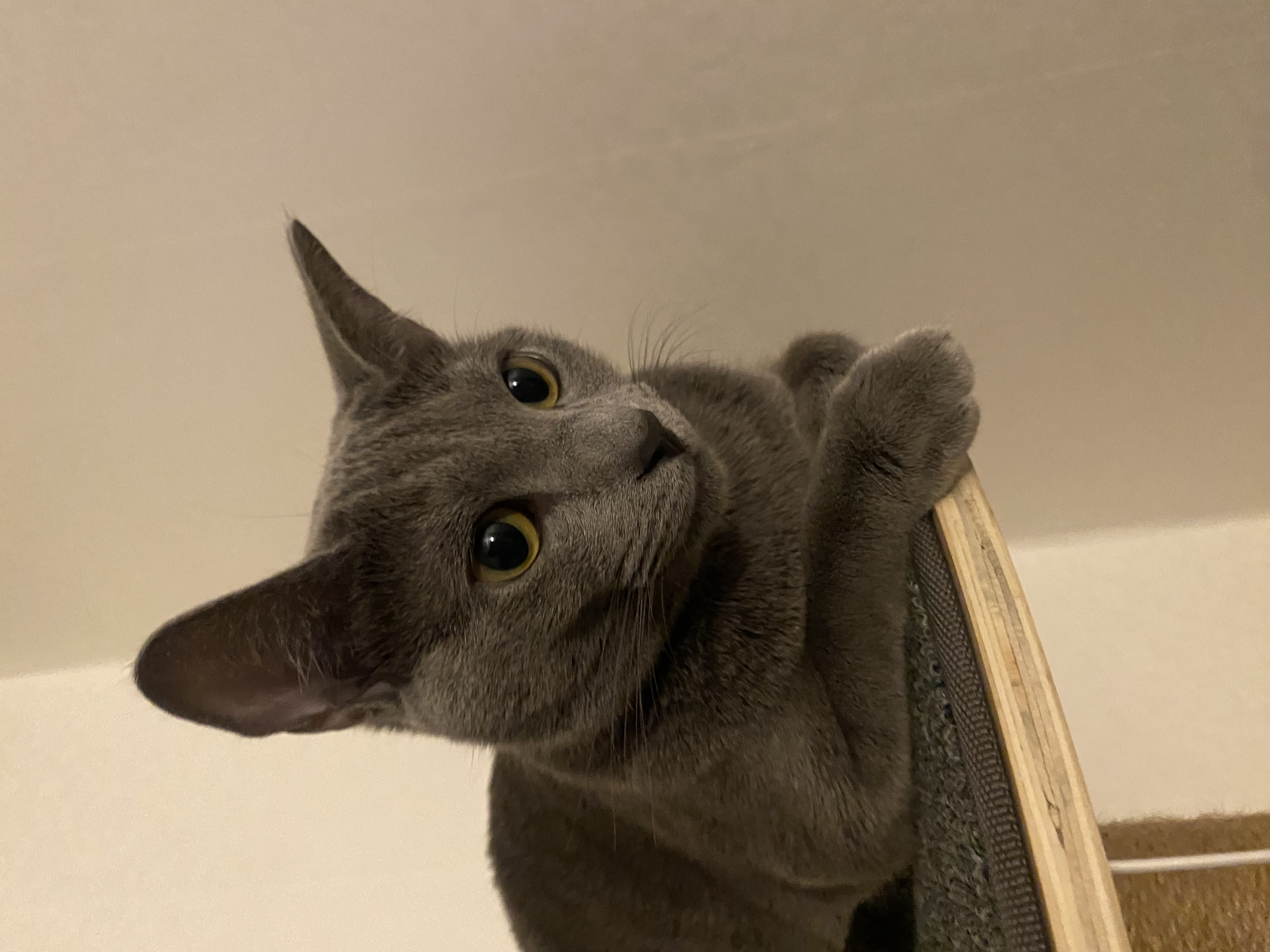 ROS (Robot Operating System) 설치 가이드