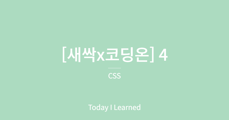 새싹x코딩온 웹 개발자 부트캠프 과정 4 Css