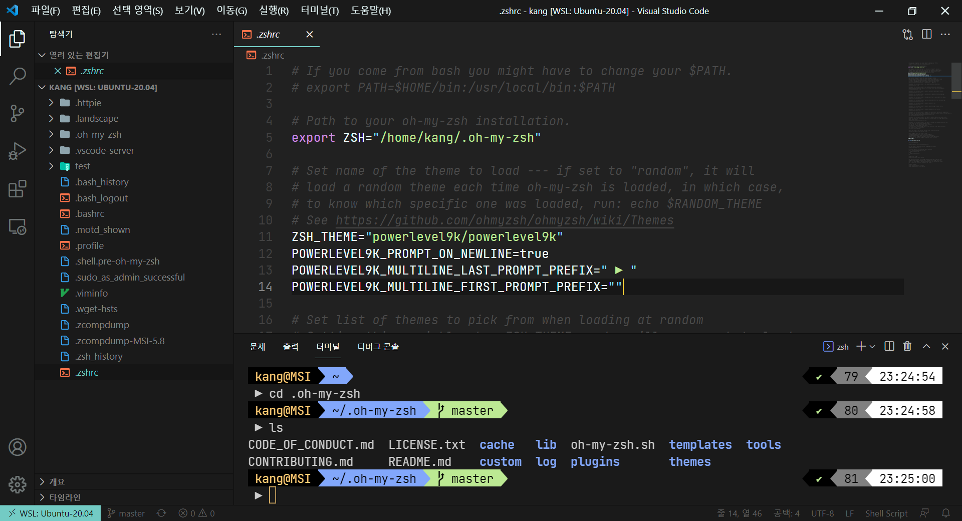 [IDE] windows 10 zsh(z shell) 설치