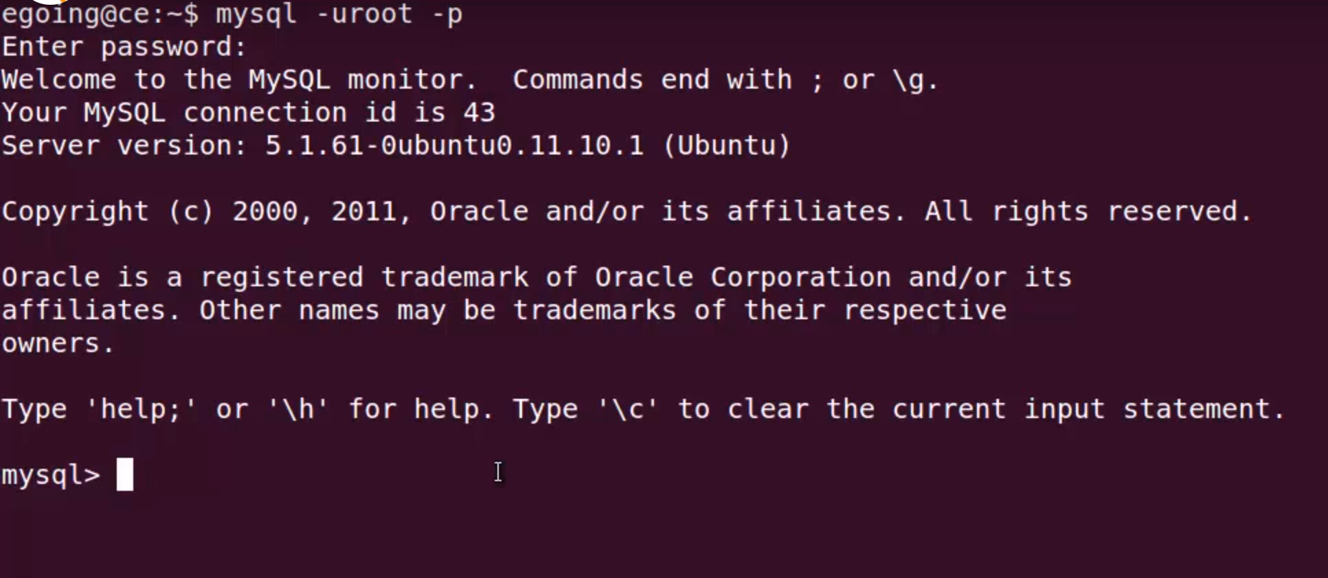 MySQL monitor 사용법