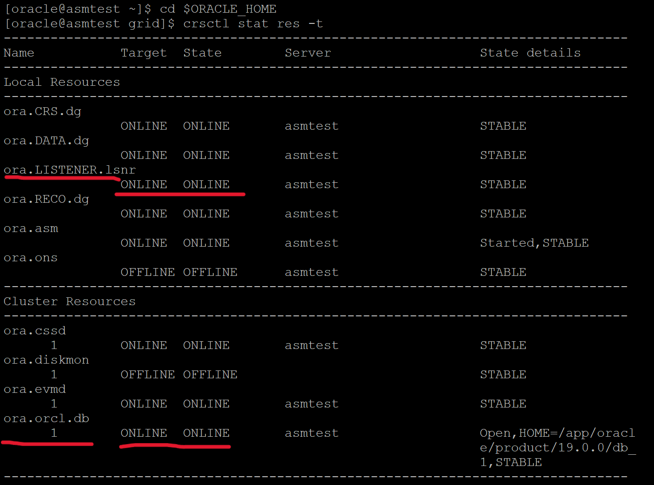 [Oracle] ASM에서 오라클 19c 설치