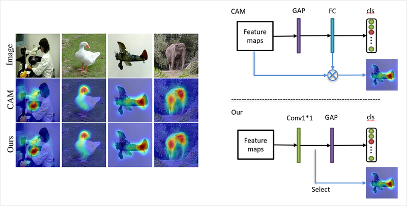 Theory of activation map