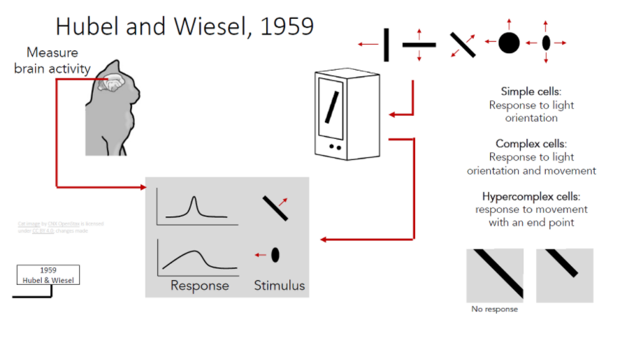 Introduction Of Computer Vision