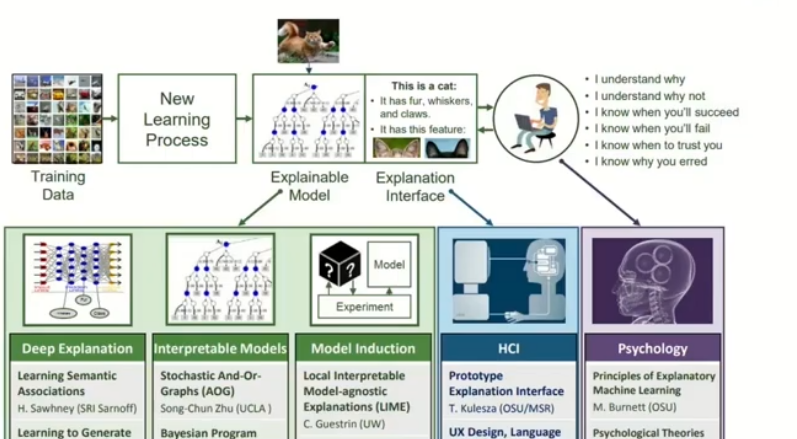Theory of activation map