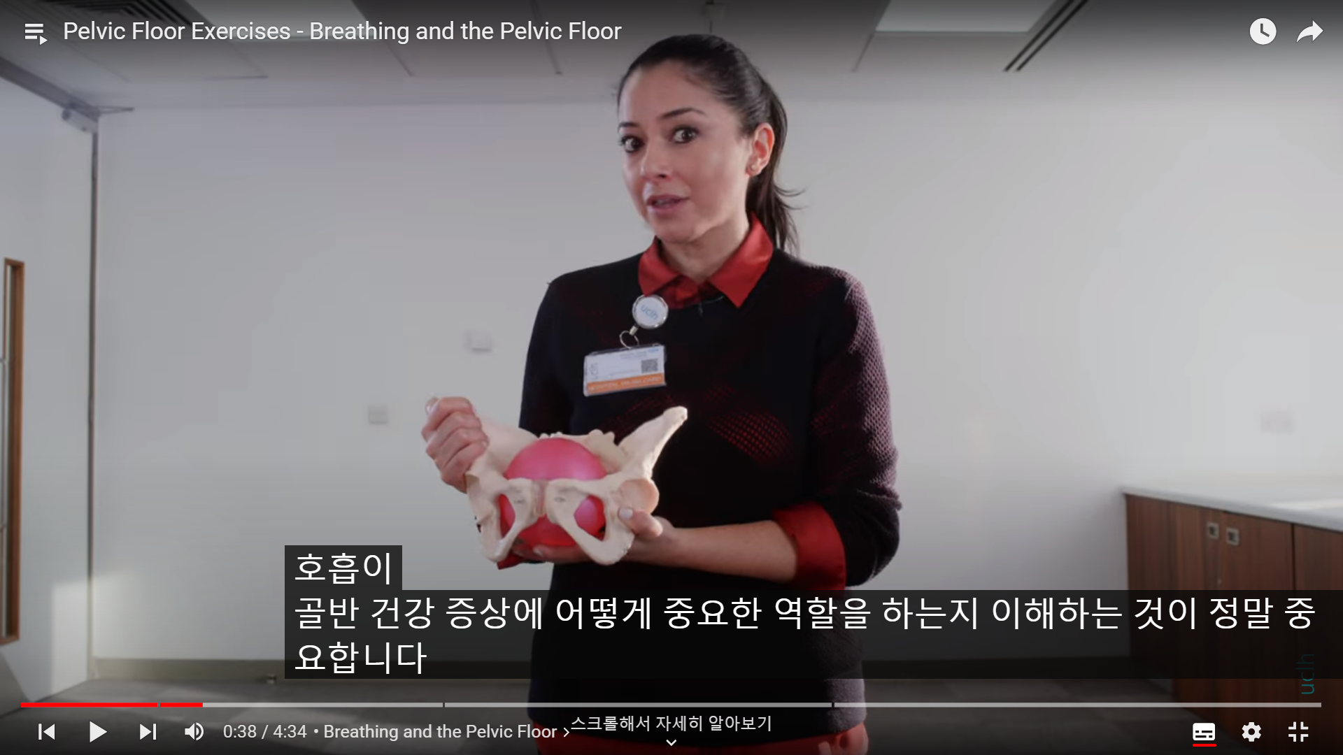 rabbit_dev (🐰) / 작성글 - velog