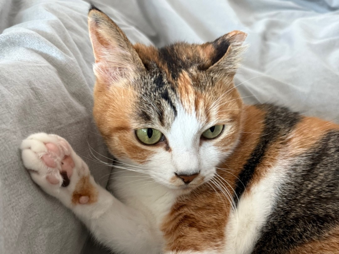 ⚛️ 리액트 기초지식(feat.TypeScript) - 02