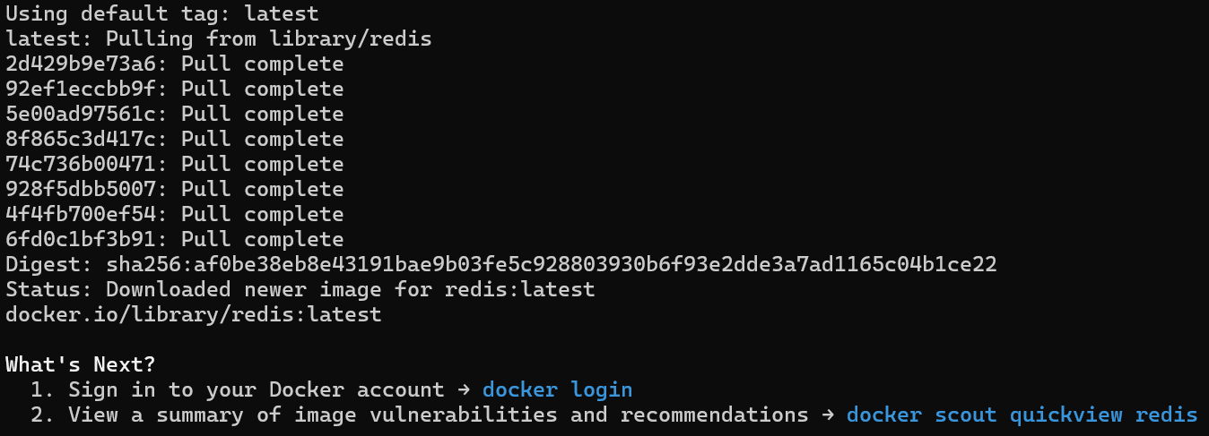 Redis docker 사용법