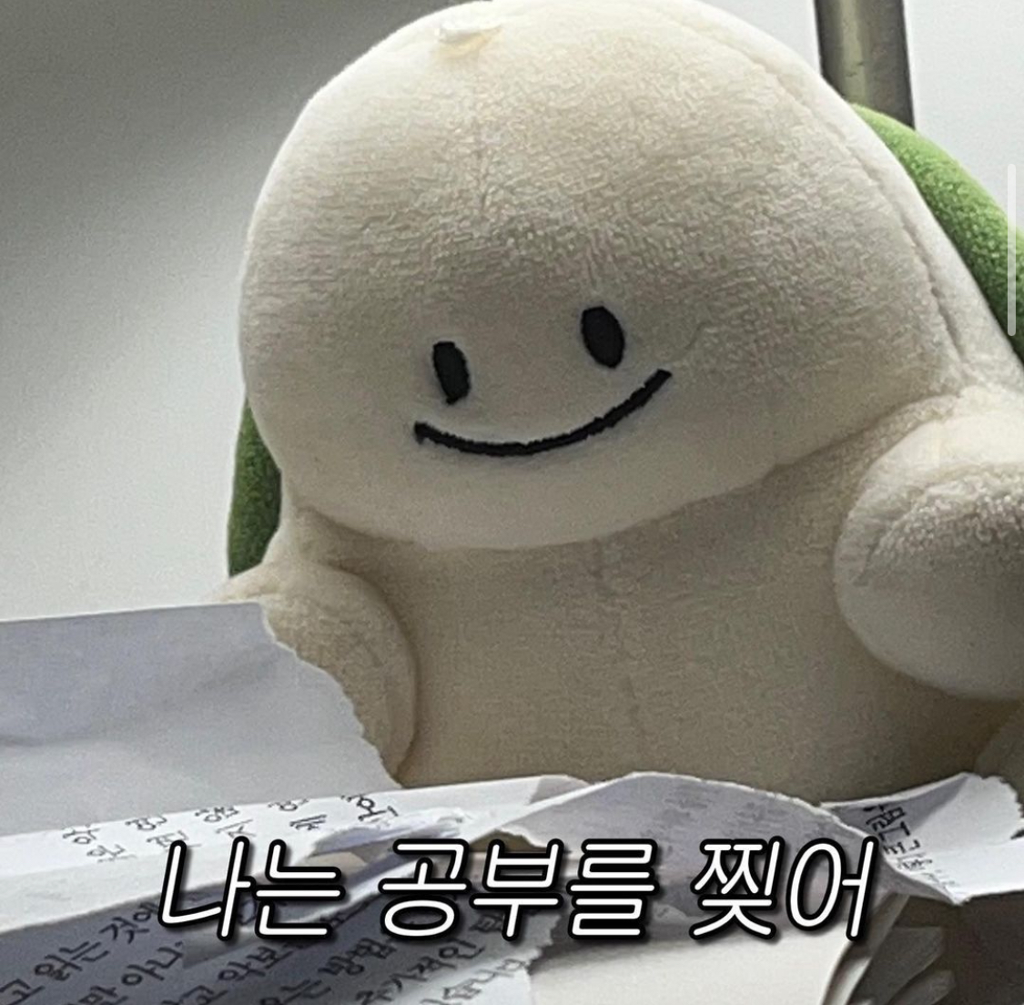 rena (rena) / 작성글 - velog