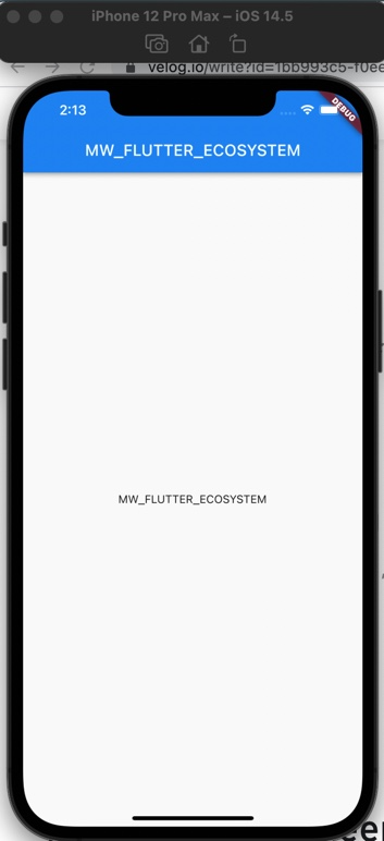 Flutter 환경설정 파일 적용 (기본)