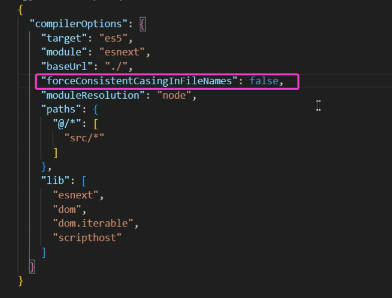 [vue 에러]Already included file name